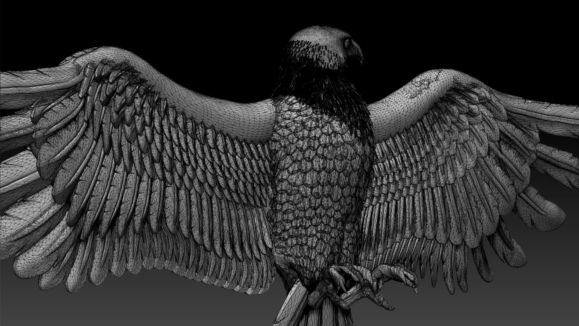 3D Eagle Model - TurboSquid 1957599