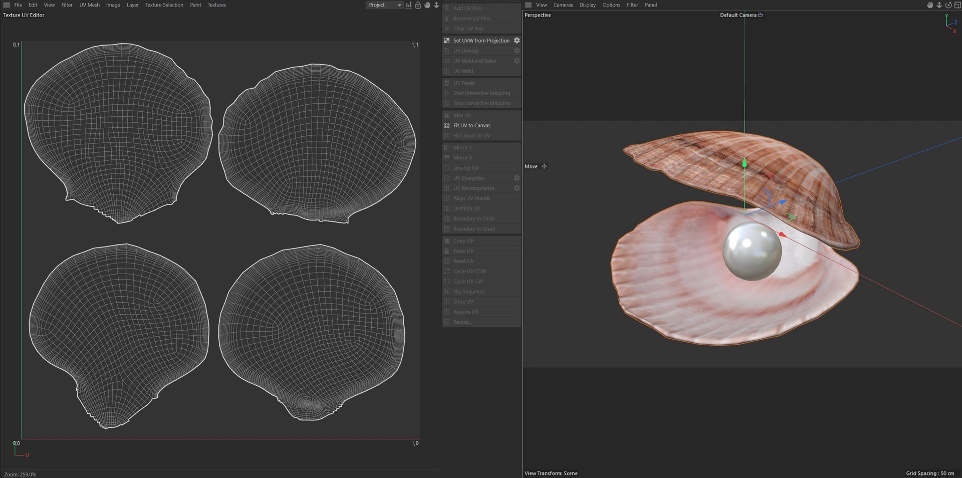 Conch Shell Pearl 3D Model - TurboSquid 2370743