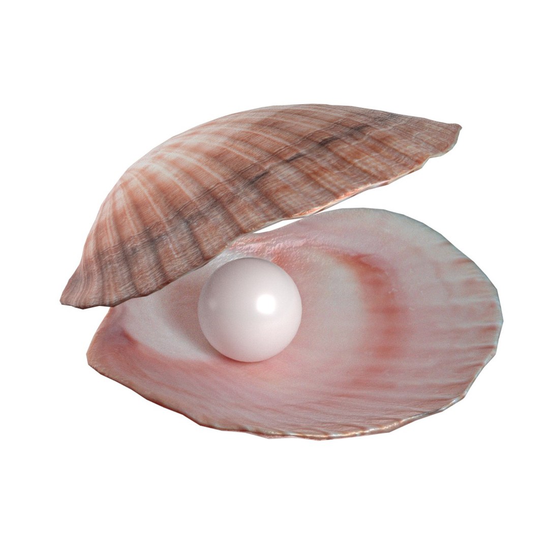 Conch Shell Pearl 3D Model - TurboSquid 2370743
