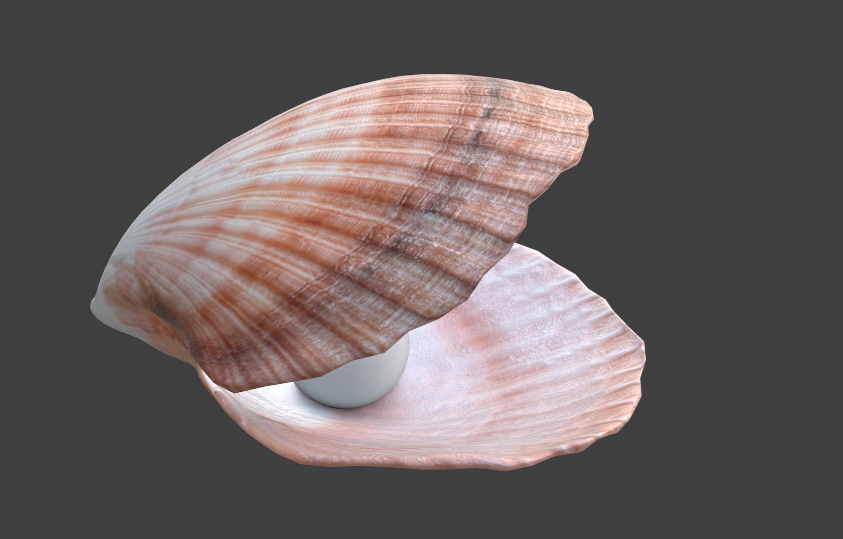 Conch Shell Pearl 3D Model - TurboSquid 2370743