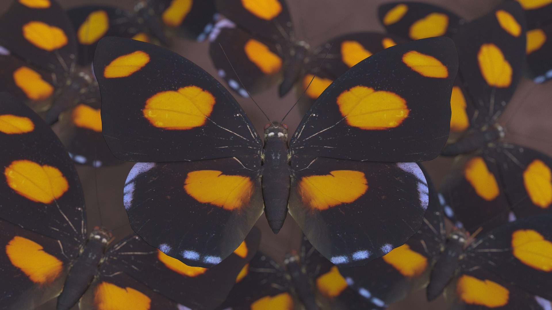 3D Blue Frosted Banner Butterfly - TurboSquid 1578763