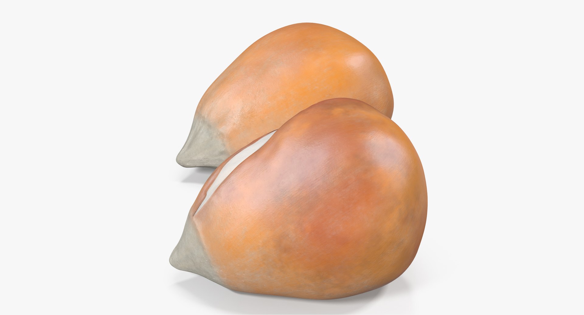 3D popcorn kernels - TurboSquid 1259163