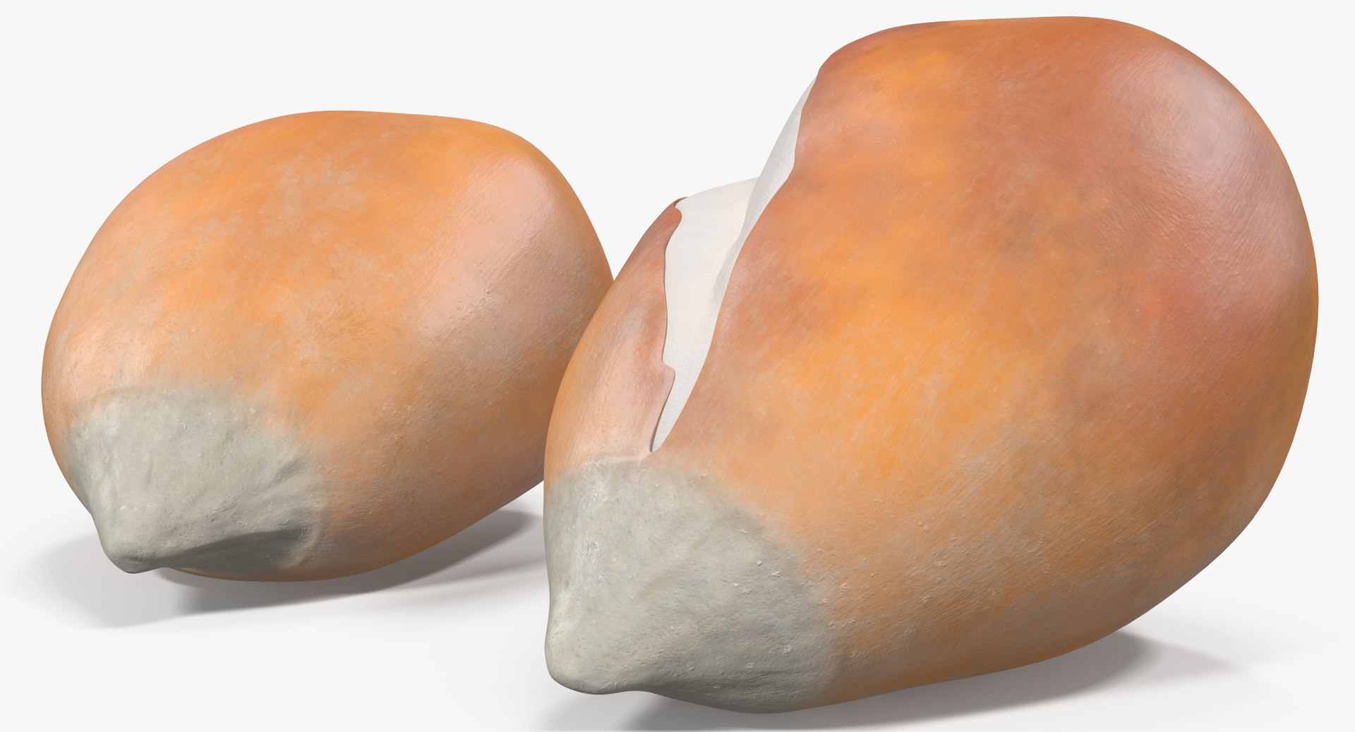 3D popcorn kernels - TurboSquid 1259163