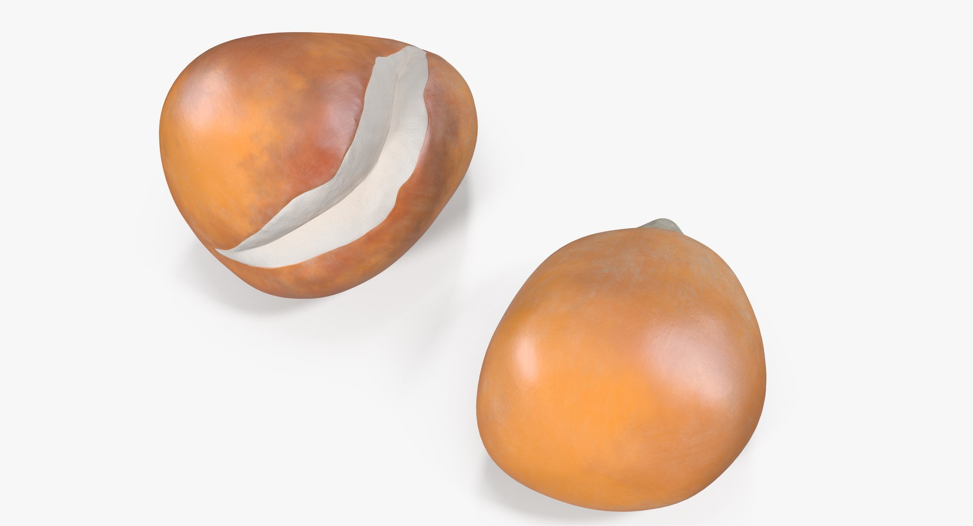 3D popcorn kernels - TurboSquid 1259163