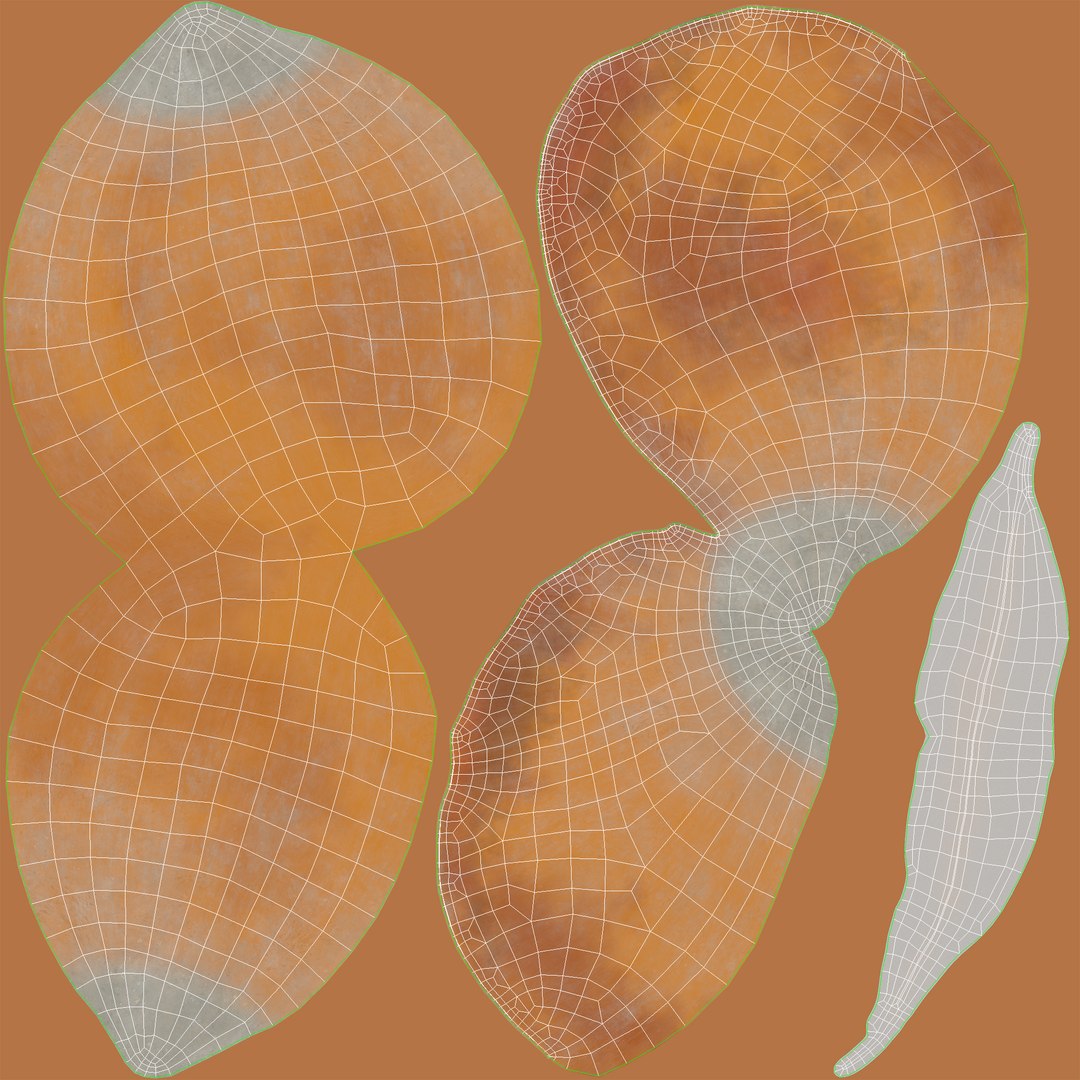 3D popcorn kernels - TurboSquid 1259163