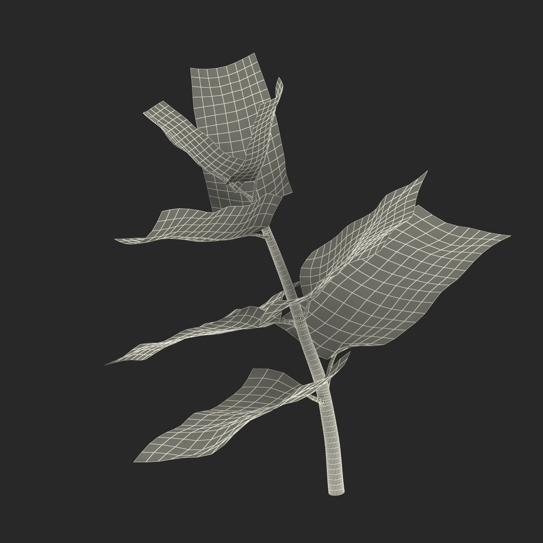 Branch Leaves Nature 3d Model