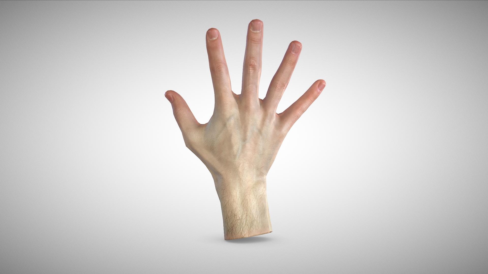 Scan Hand 3D Model - TurboSquid 1379311