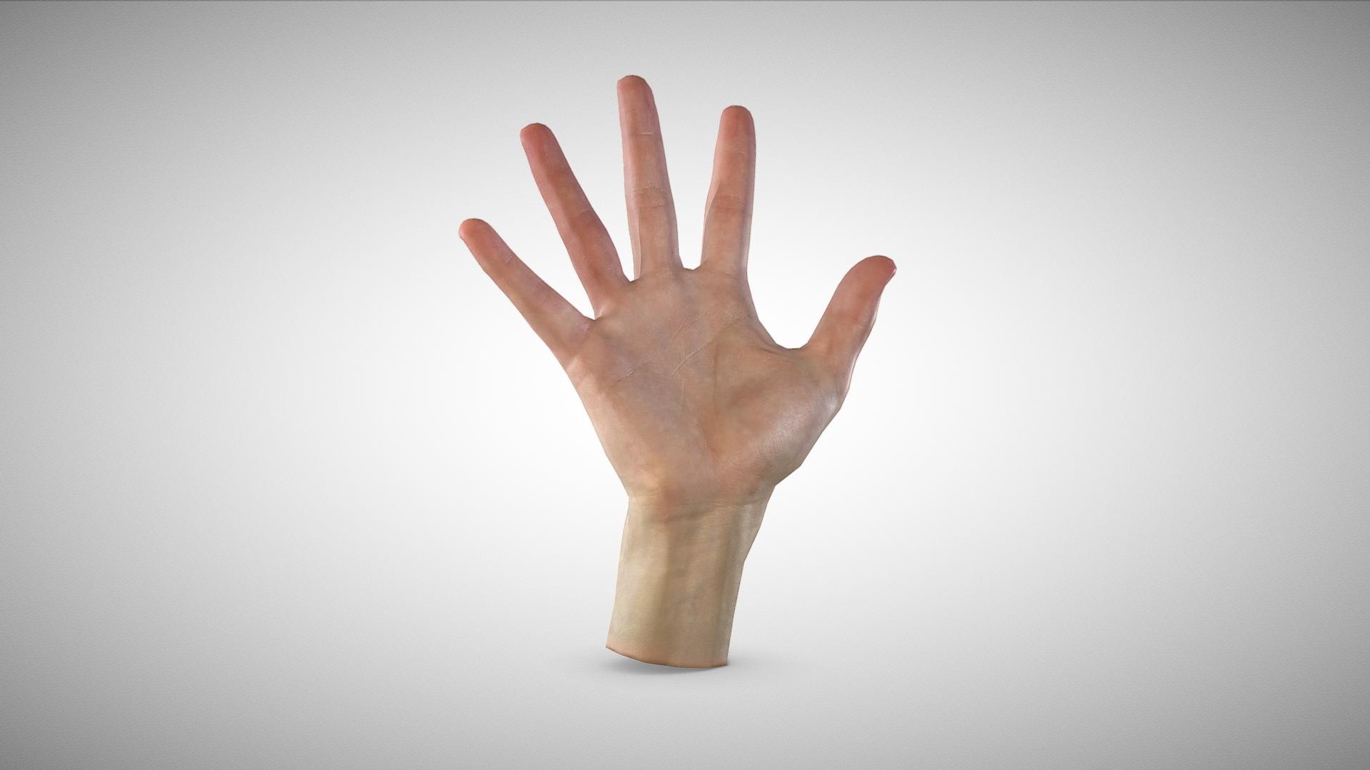 Scan Hand 3D Model - TurboSquid 1379311