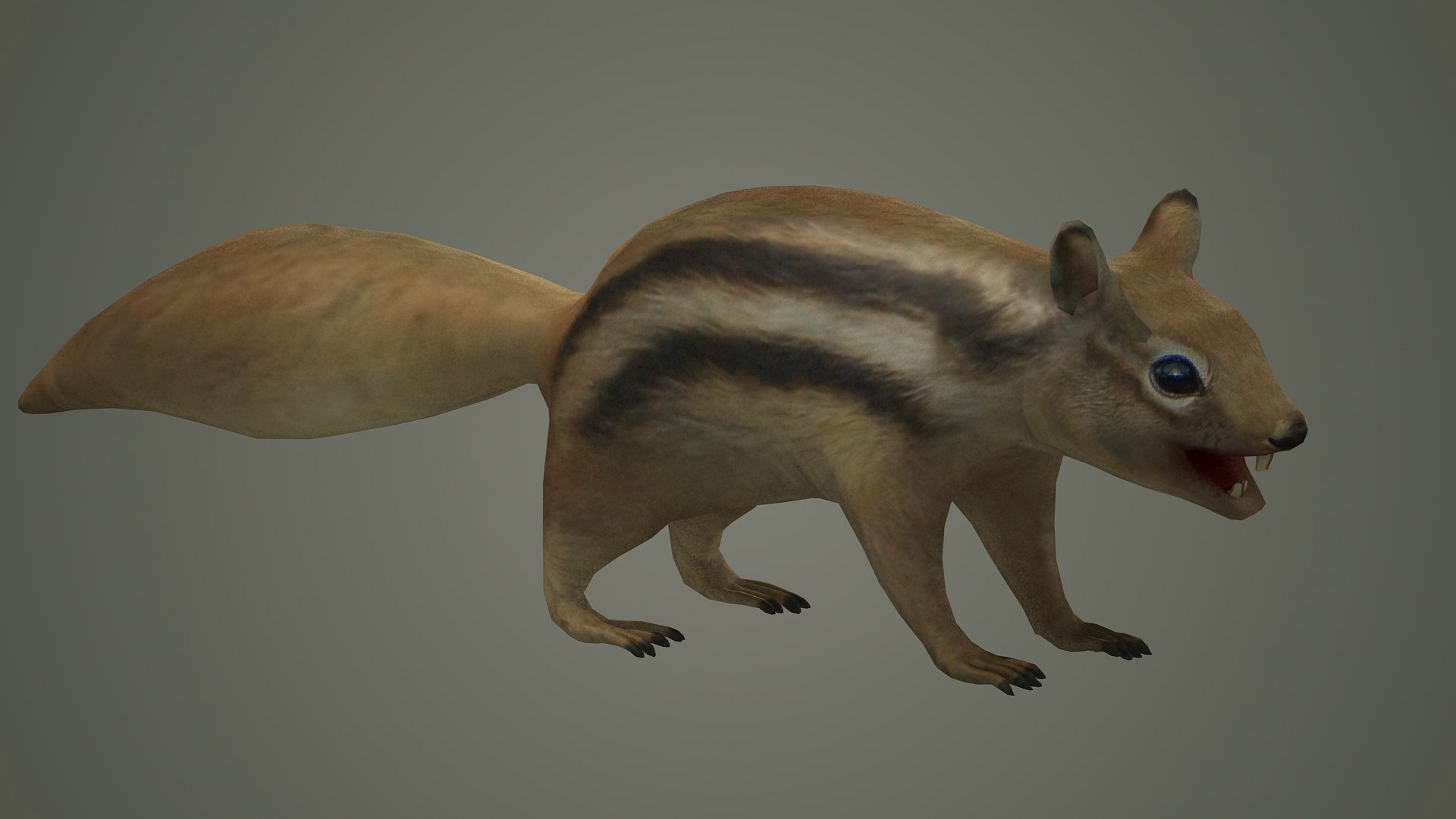 3D Quirrel Cute Animal Mammal Wildlife Little Hamster Marmot Model ...