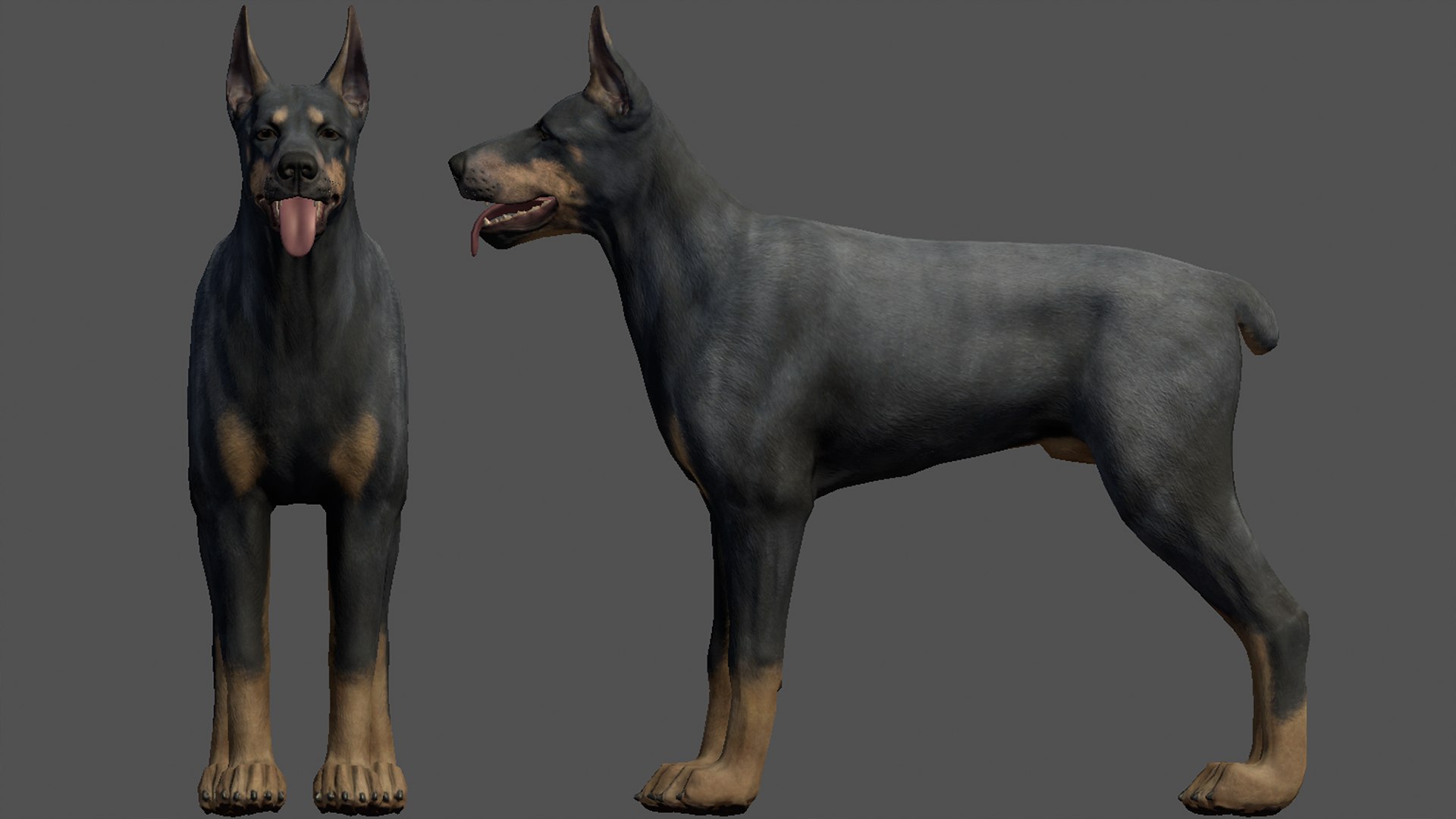 Dog - Doberman model - TurboSquid 1933631