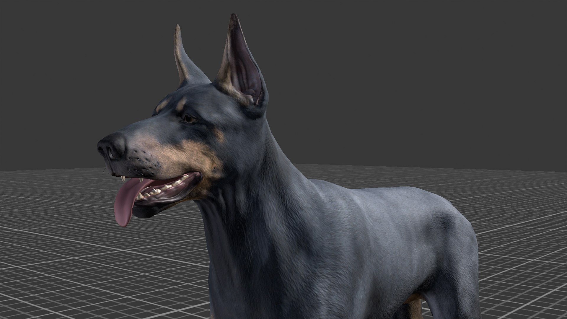 Dog - Doberman model - TurboSquid 1933631