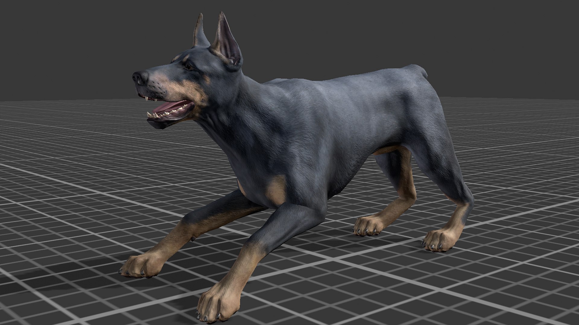 Dog - Doberman model - TurboSquid 1933631