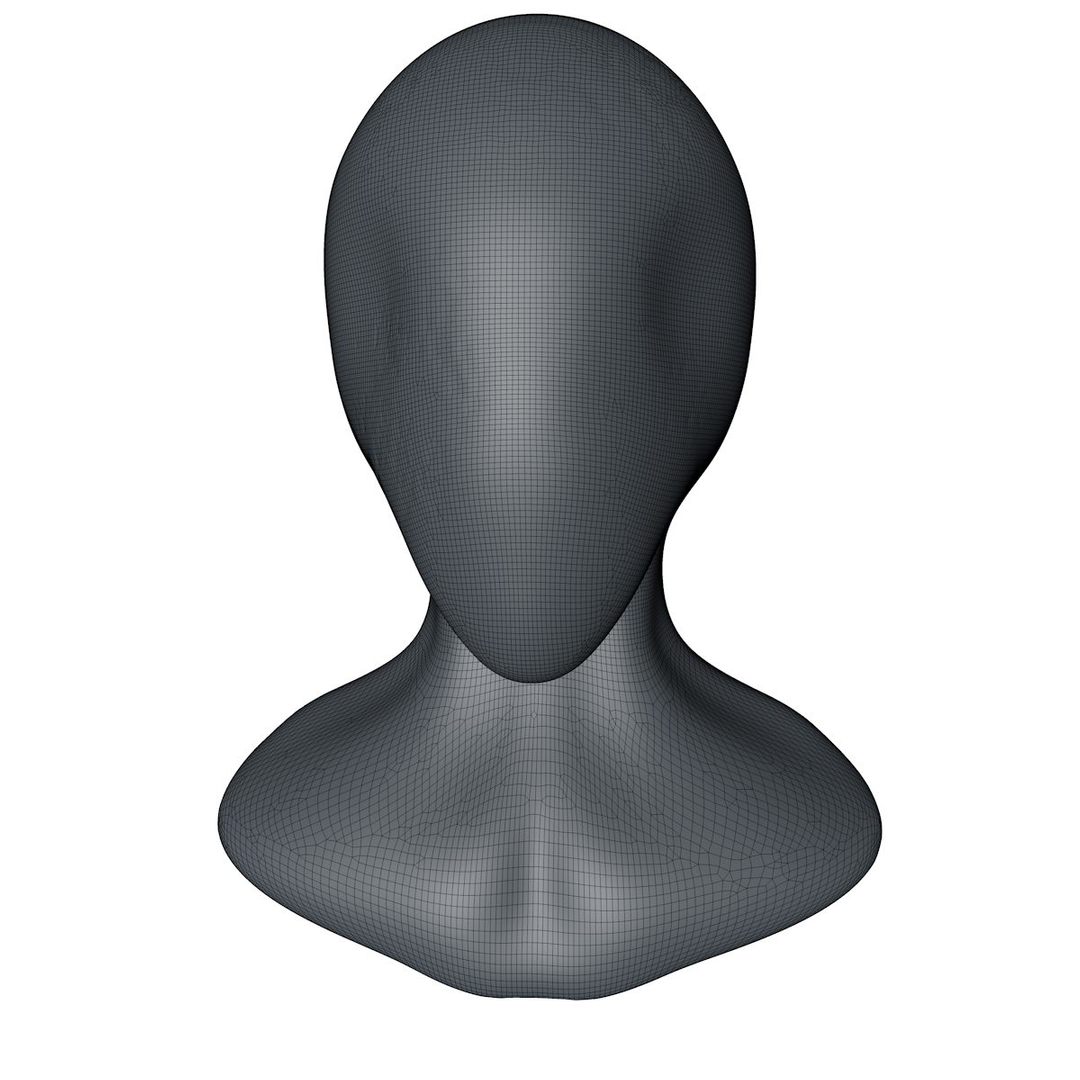 3d Head Dummy Model