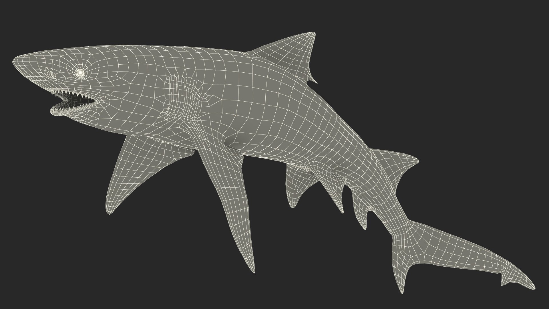 Sharptooth Lemon Shark Rigged For Cinema 4D Model - TurboSquid 2279755