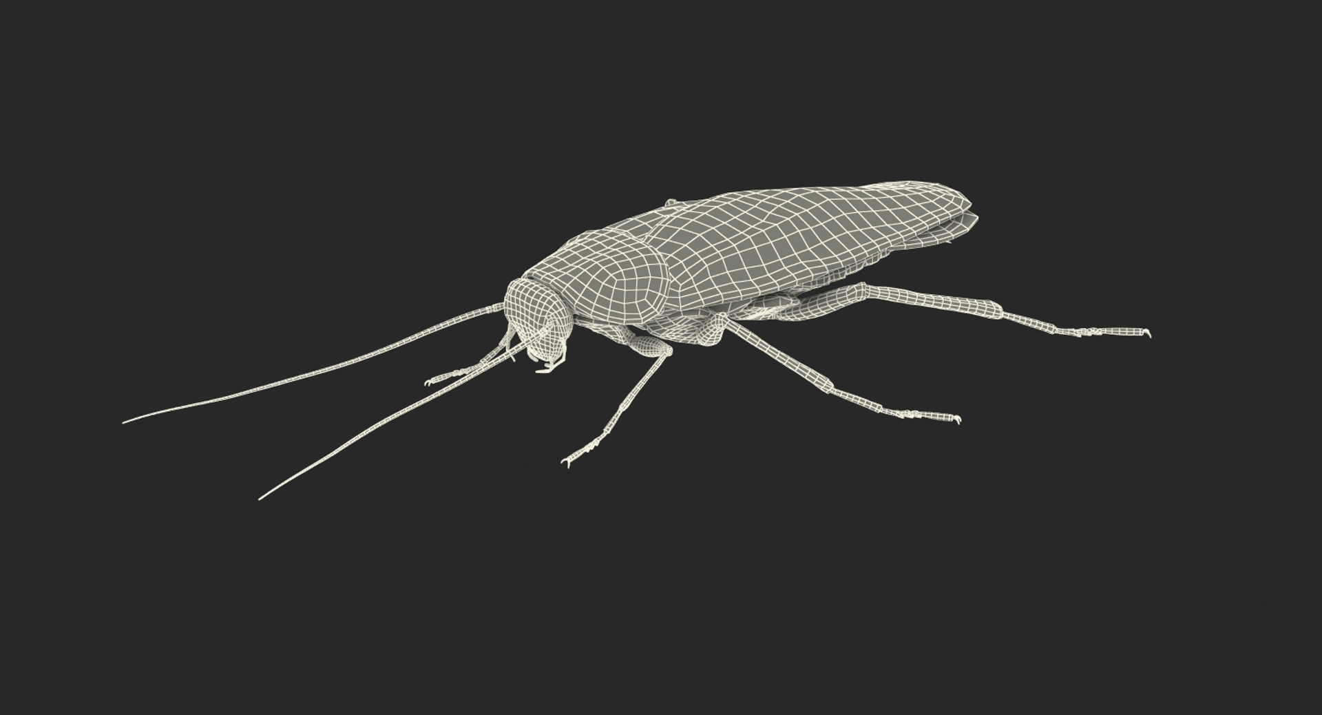 3D Cockroach With Bait Collection Model - TurboSquid 1880036