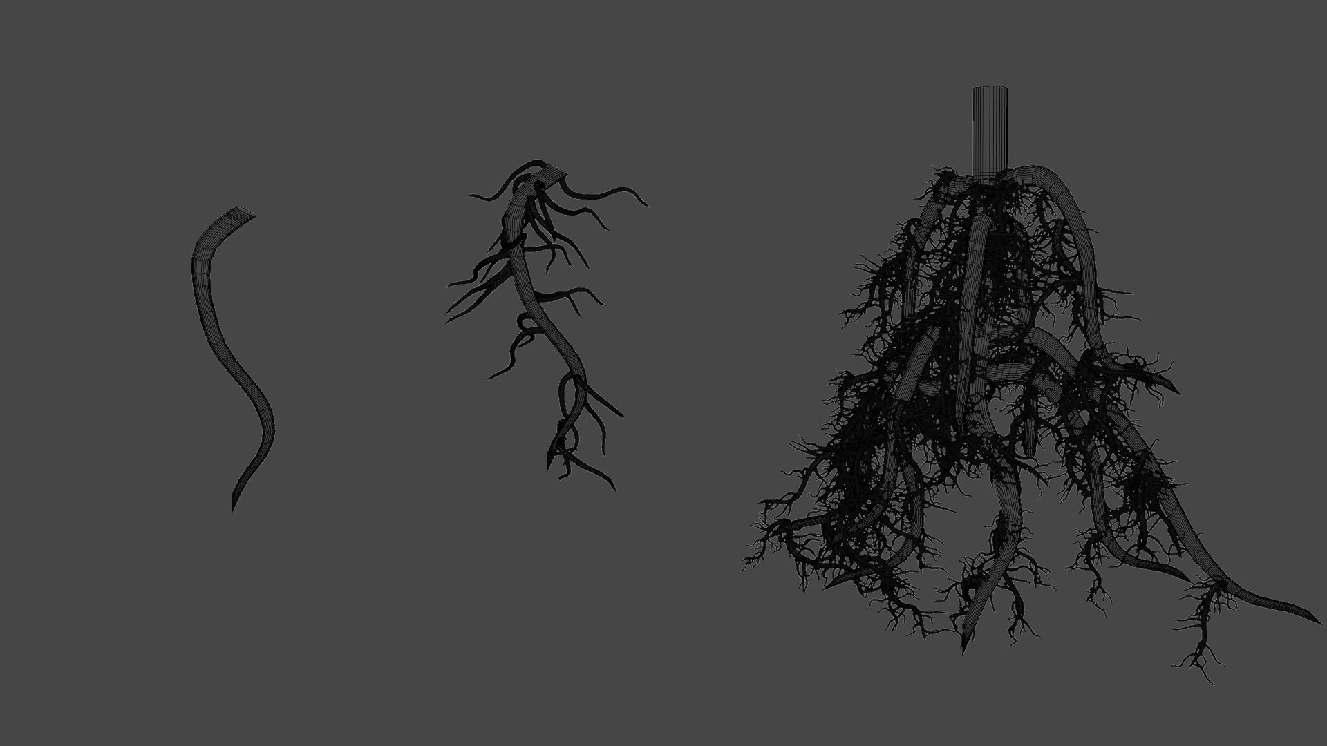 3D tree root - TurboSquid 1954401