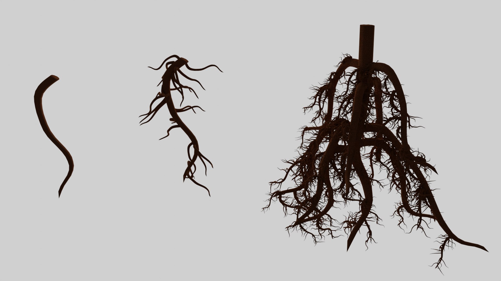 3D tree root - TurboSquid 1954401