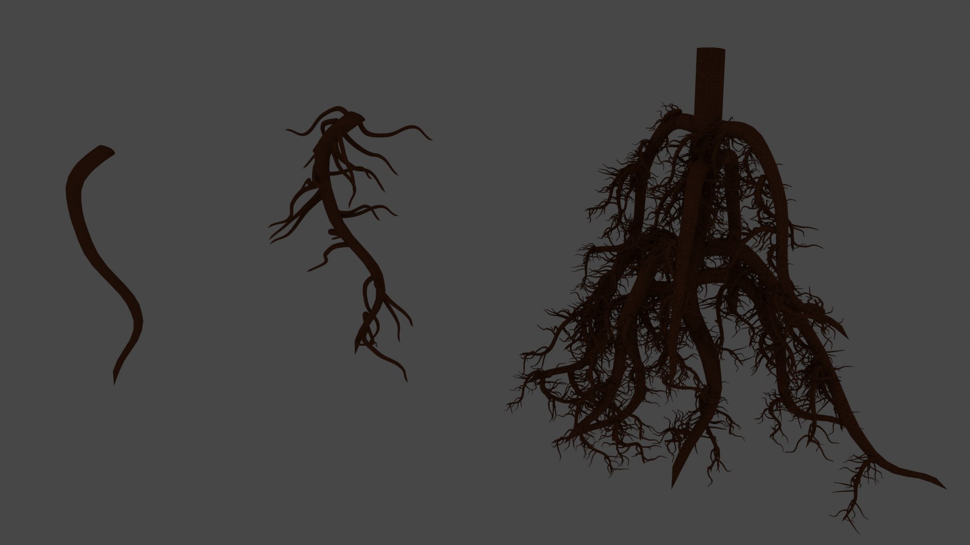 3D tree root - TurboSquid 1954401