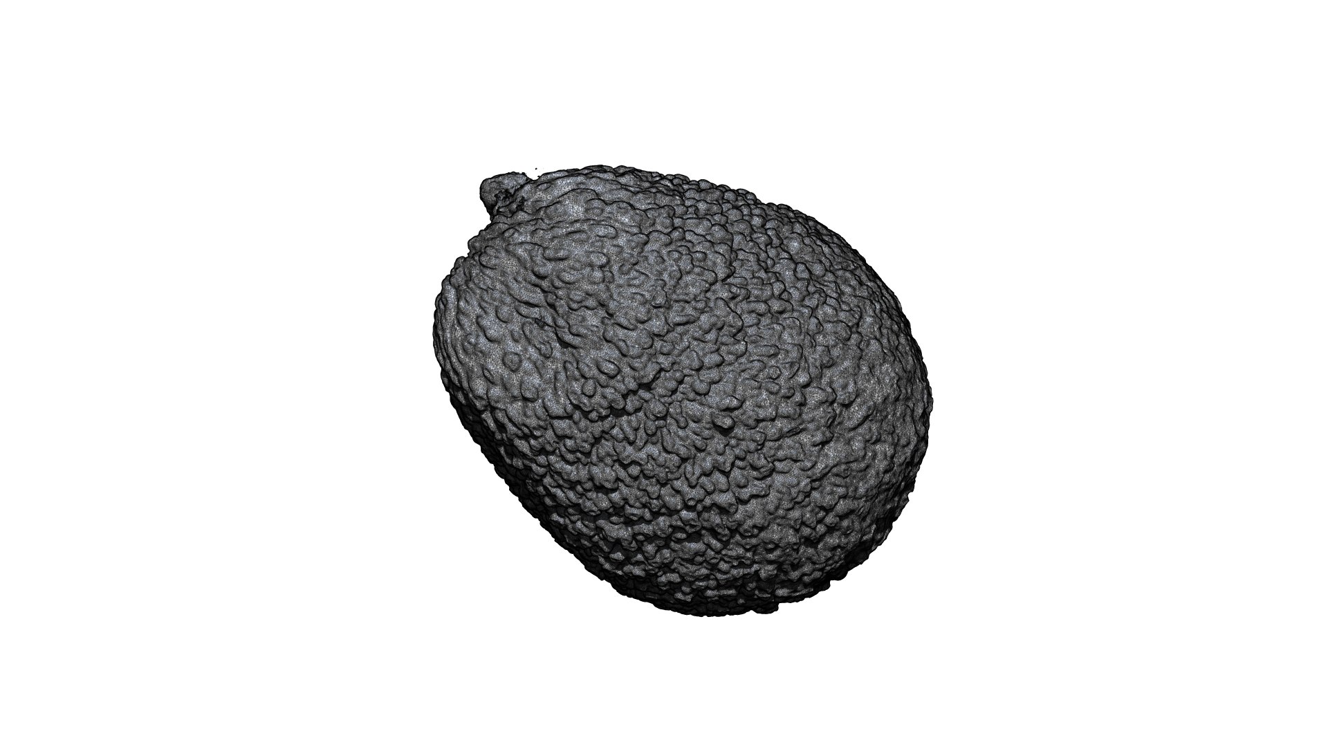 3D Avocado 3D CT Scan Model Decimate 80 Percent - TurboSquid 1932352