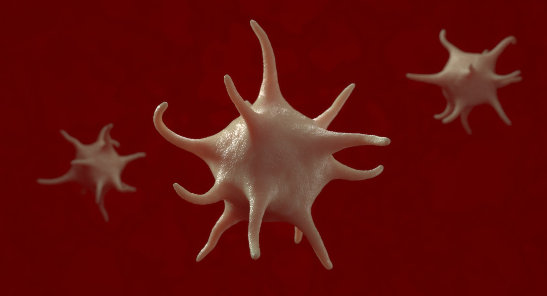 Platelet Thrombocyte 1 3D Model - TurboSquid 1396116