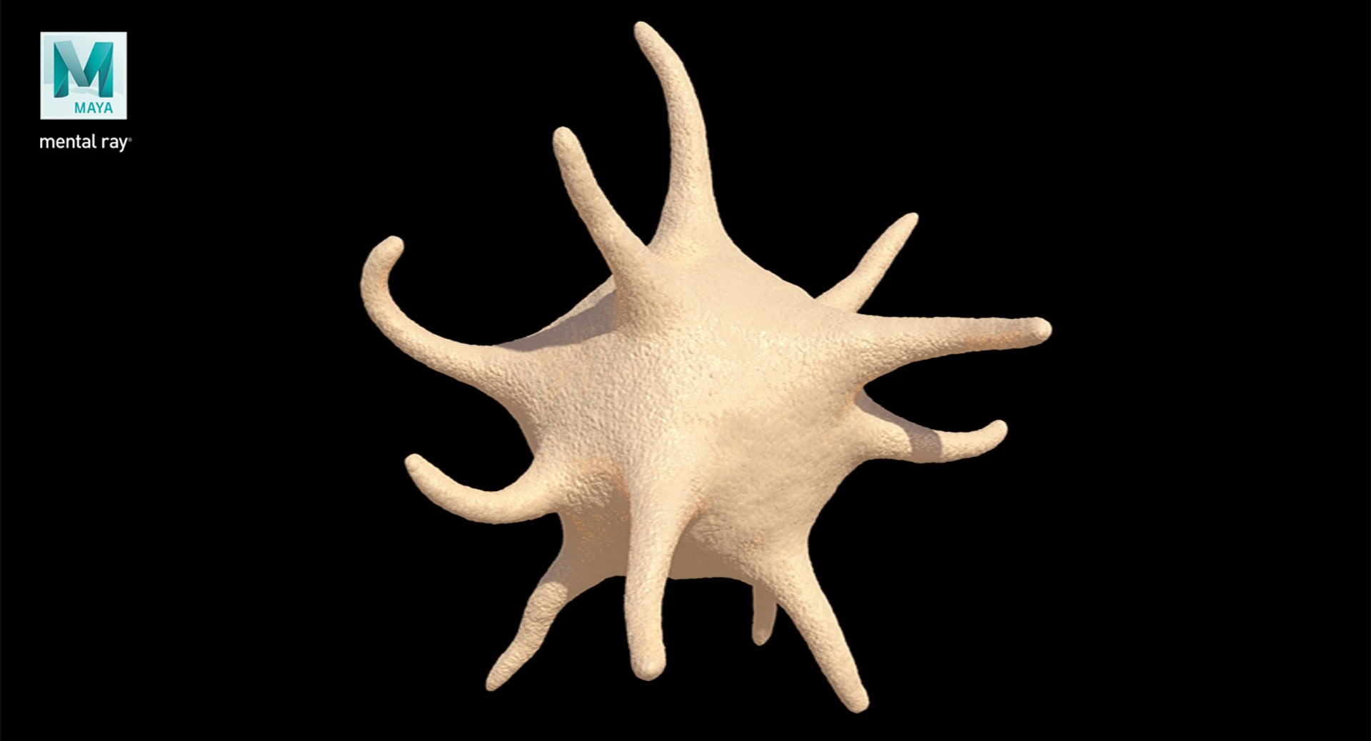 Platelet Thrombocyte 1 3D Model - TurboSquid 1396116