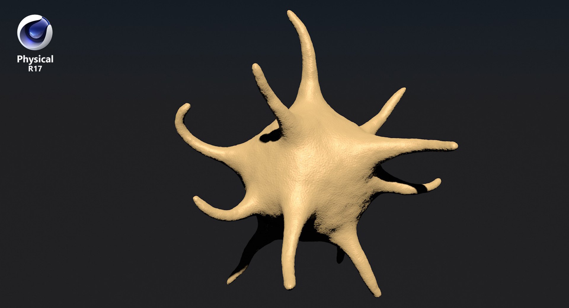 Platelet Thrombocyte 1 3D Model - TurboSquid 1396116