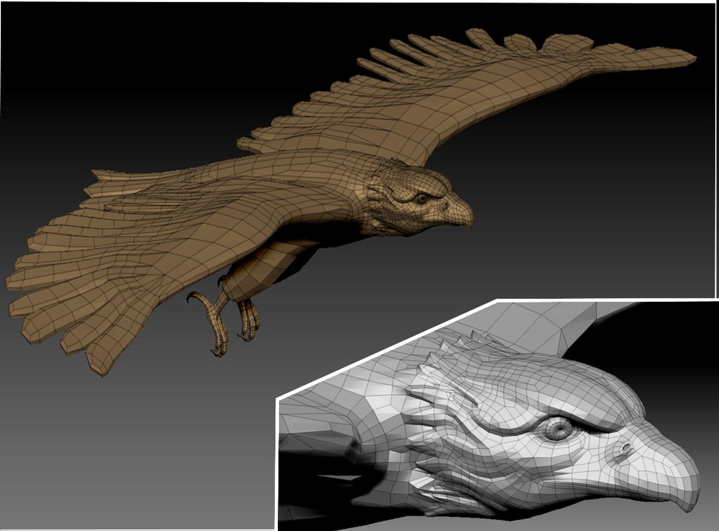 Flying Eagle Model - TurboSquid 1263544