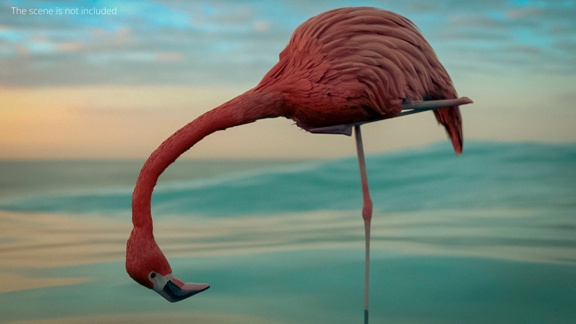 Walking Tropical Bird Flamingo Pink Animated Rigged For Blender 3D ...