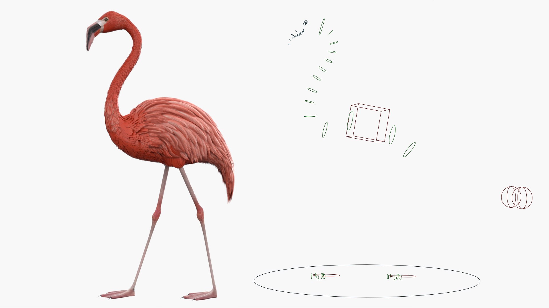 Walking Tropical Bird Flamingo Pink Animated Rigged For Blender 3D ...