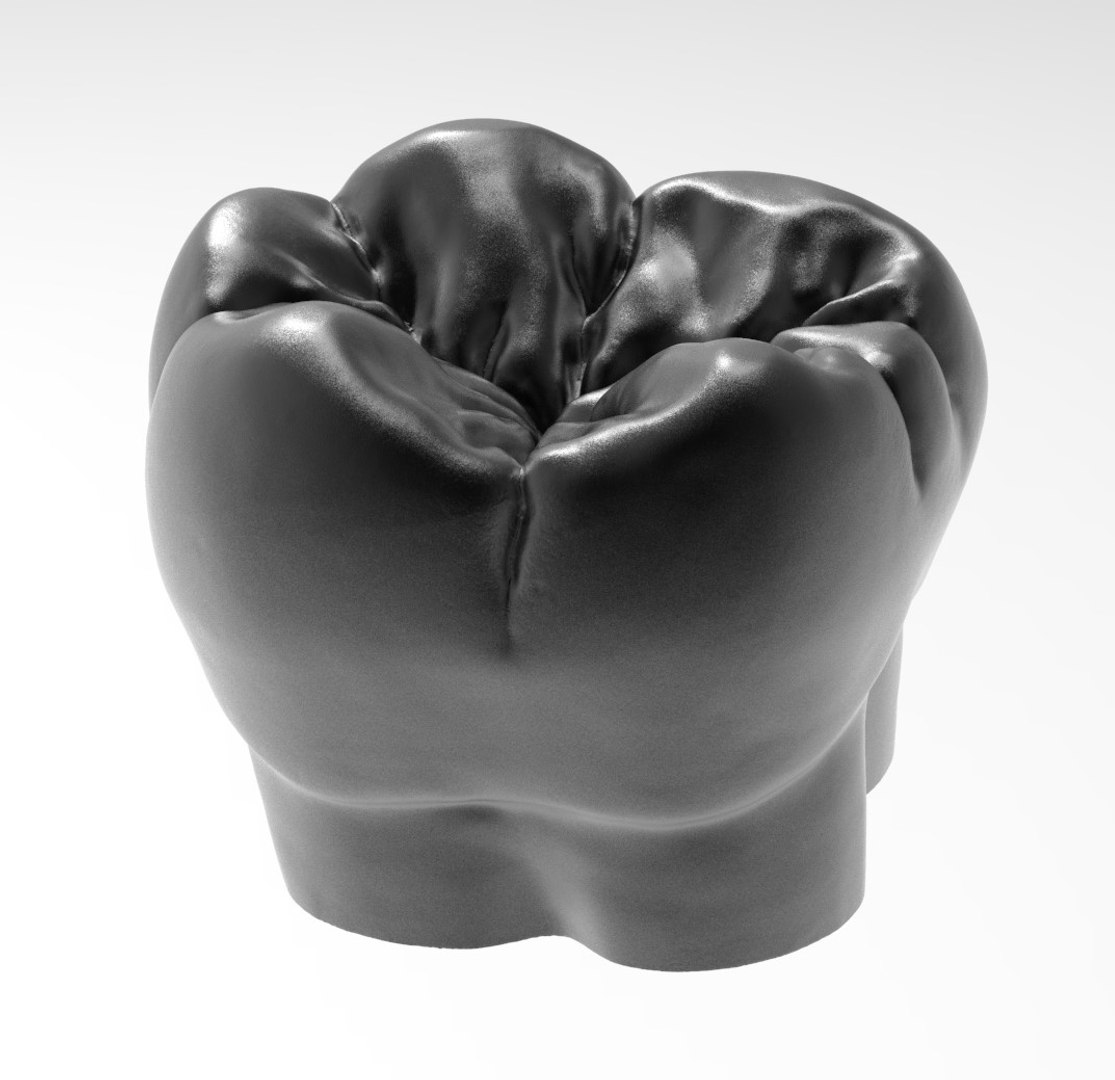 3D Molar Tooth Printing Model - TurboSquid 1393361