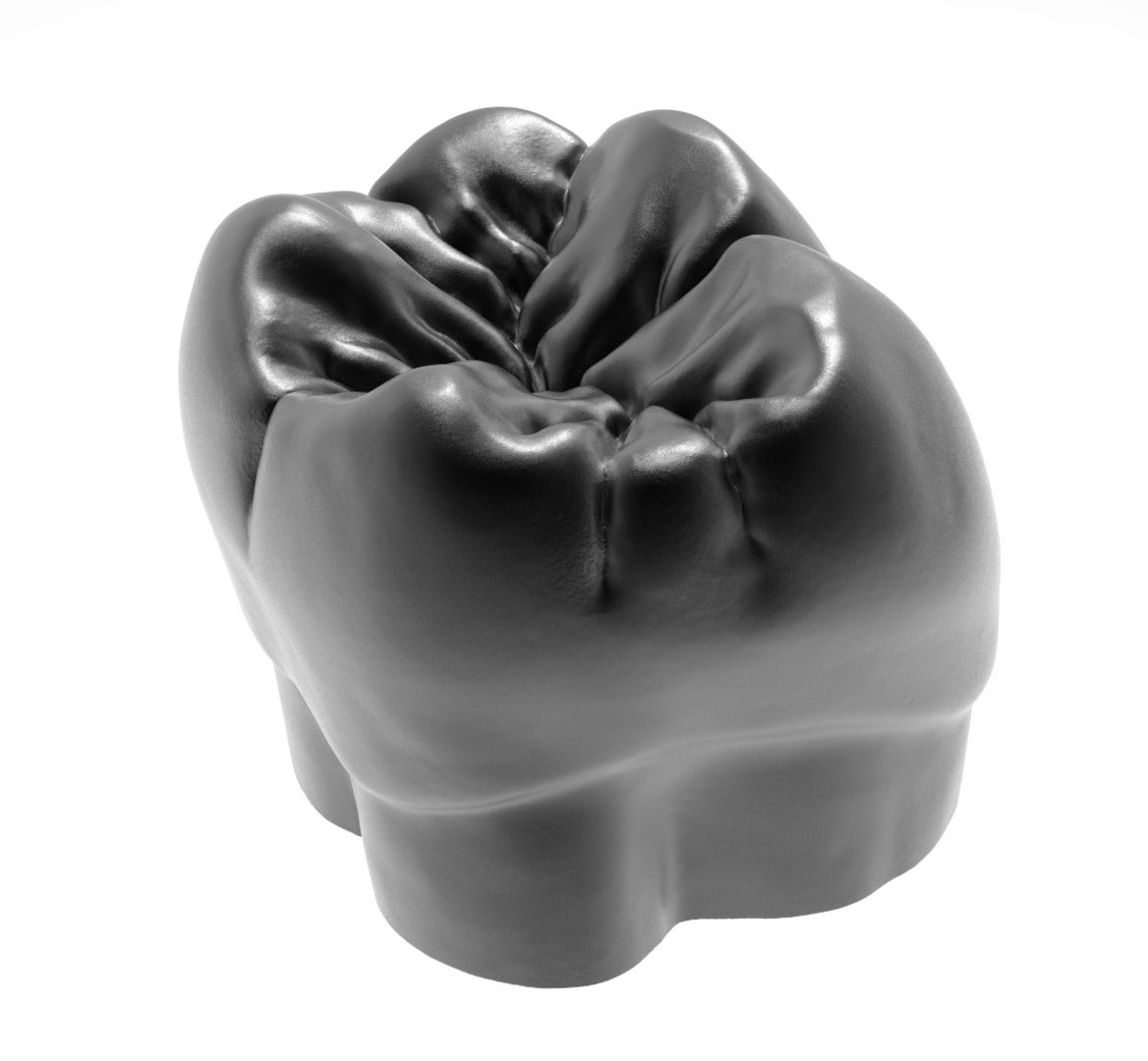 3D Molar Tooth Printing Model - TurboSquid 1393361