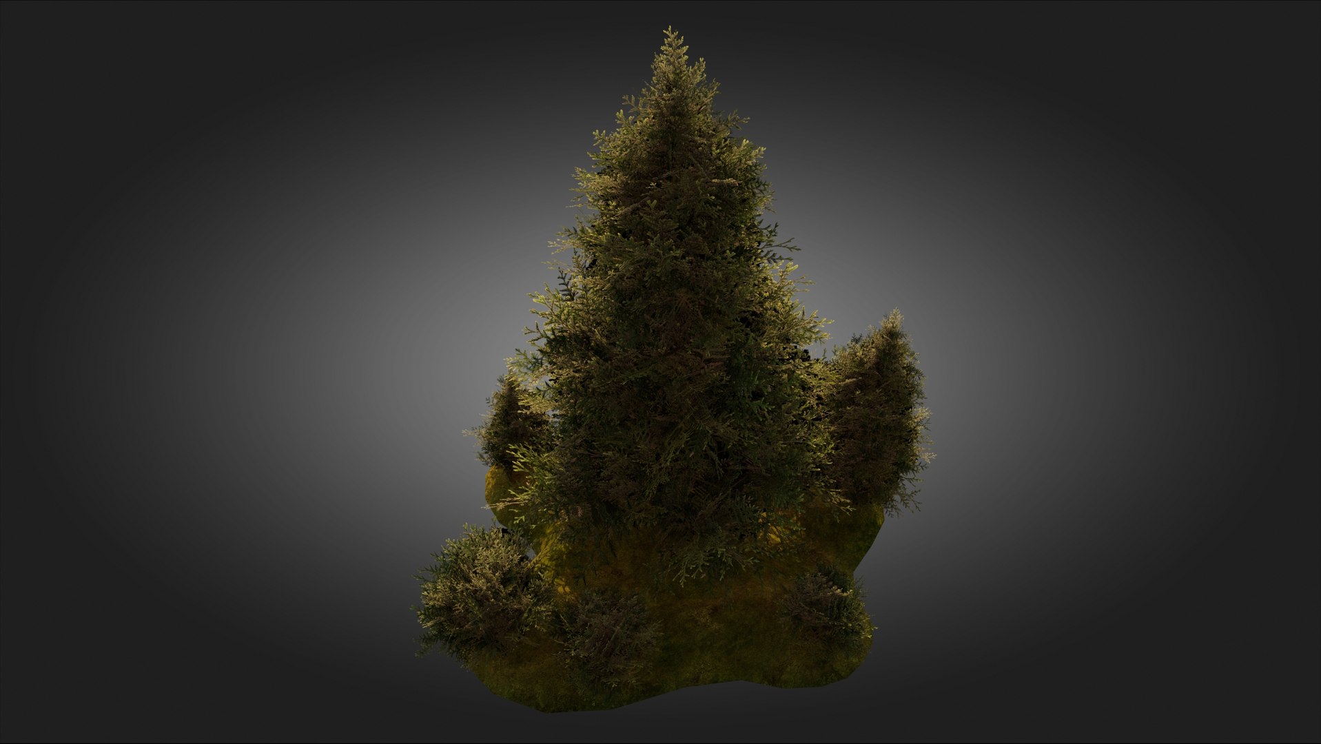 3D 3D Scan Based Thuja Shrubs - PBR - TurboSquid 1956409