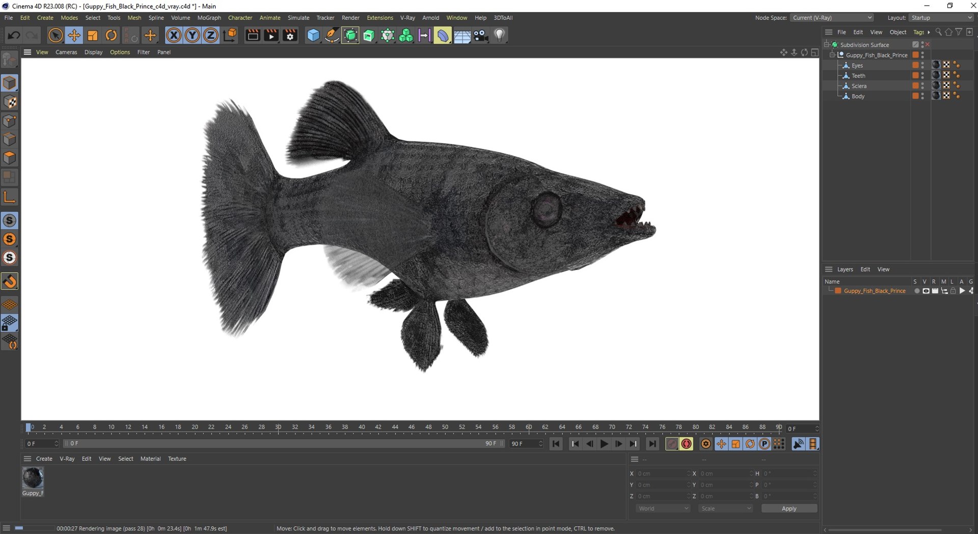 Guppy Fish Black Prince 3D - TurboSquid 2269972