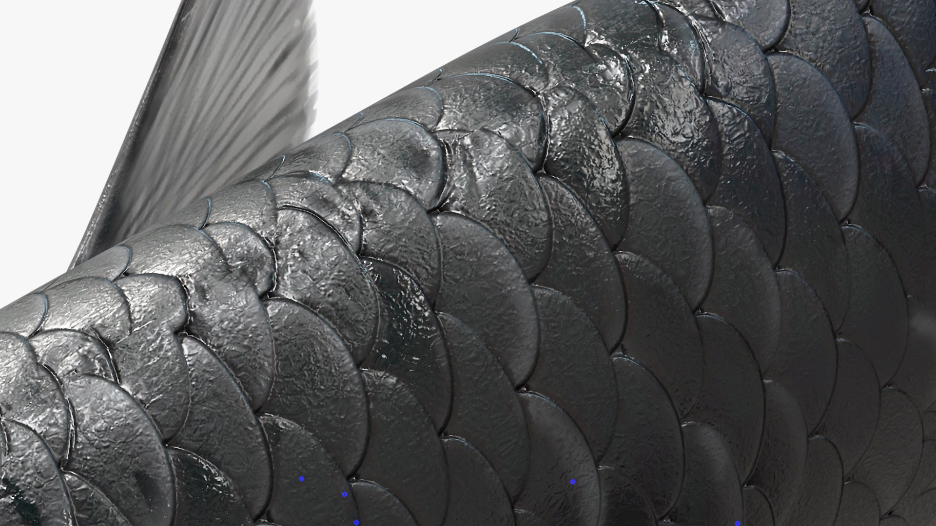 Guppy Fish Black Prince 3D - TurboSquid 2269972