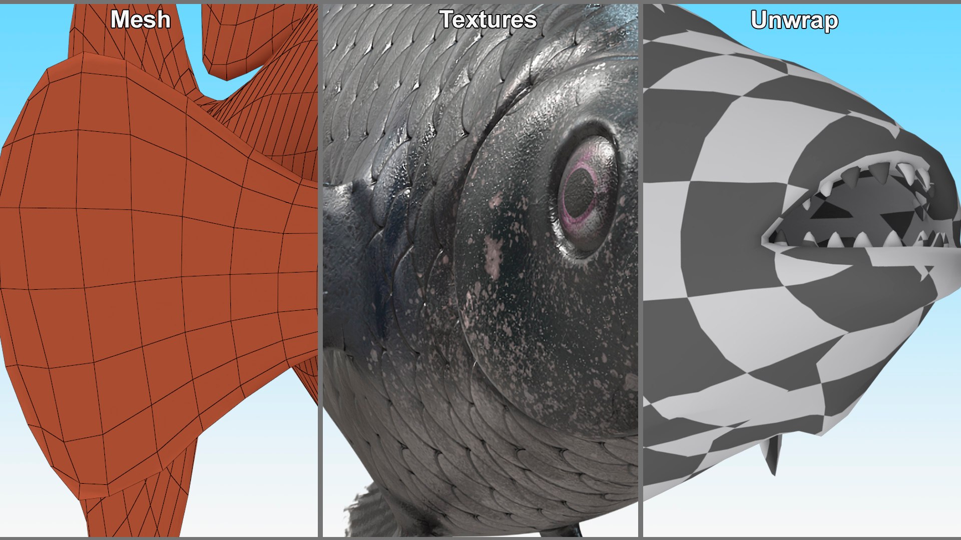 Guppy Fish Black Prince 3D - TurboSquid 2269972