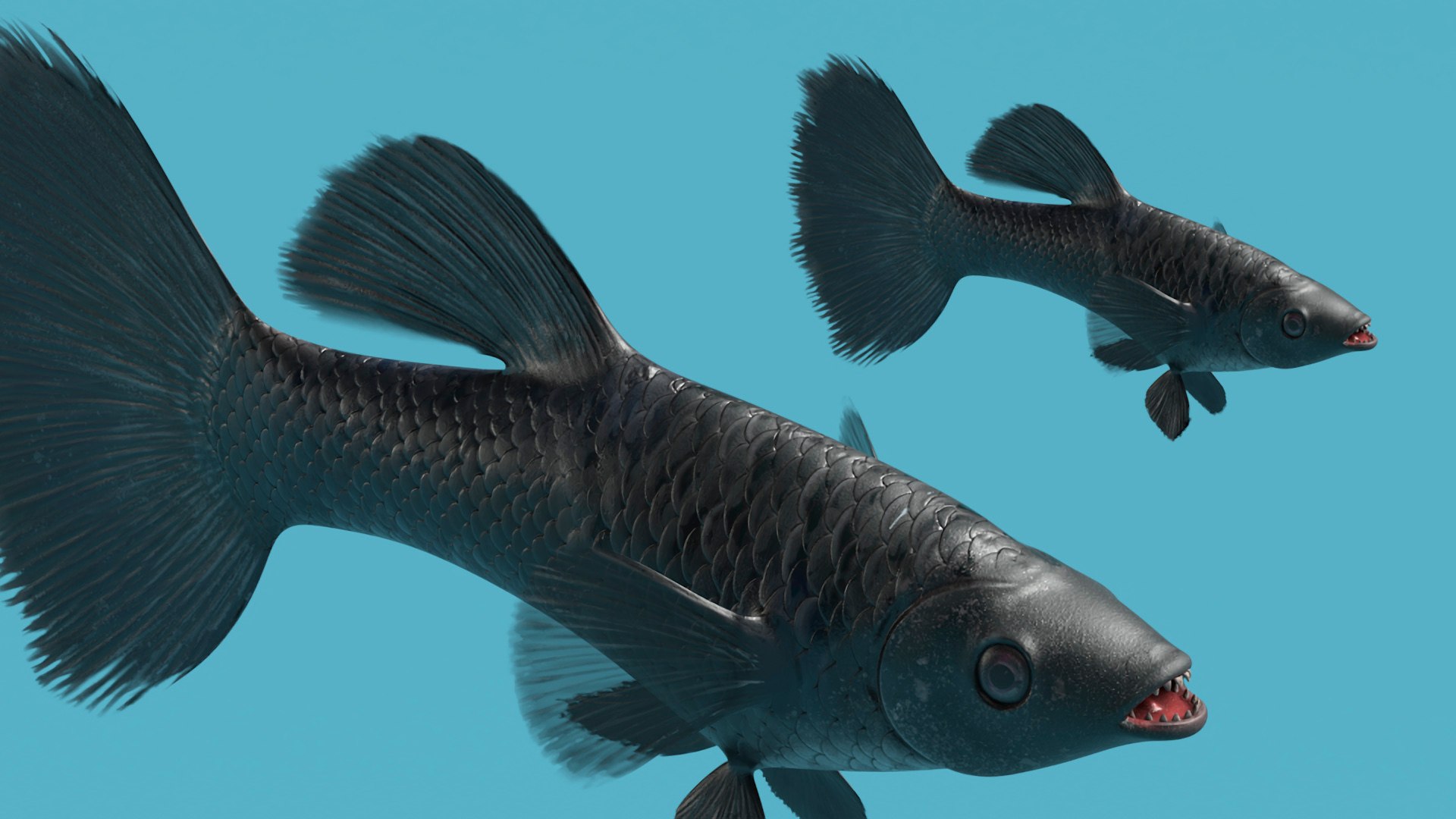 Guppy Fish Black Prince 3D - TurboSquid 2269972