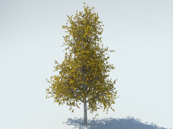 realistic aspen tree max
