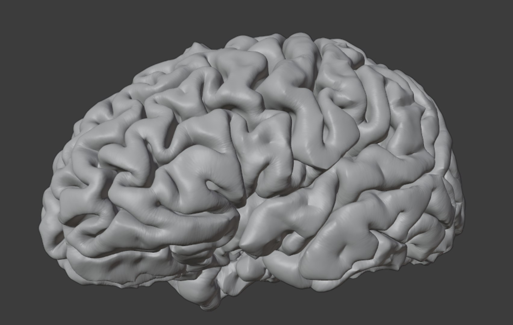 Human Brain From MRI Scan High Resolution 3D - TurboSquid 1849260