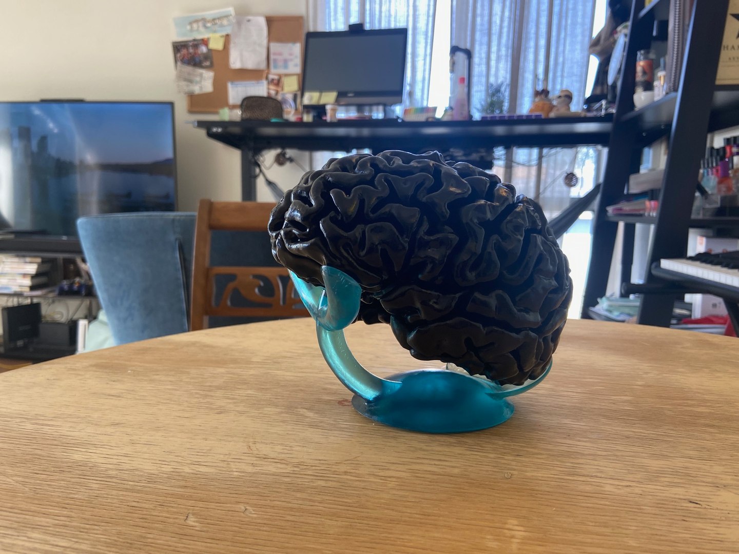 Human Brain From MRI Scan High Resolution 3D - TurboSquid 1849260