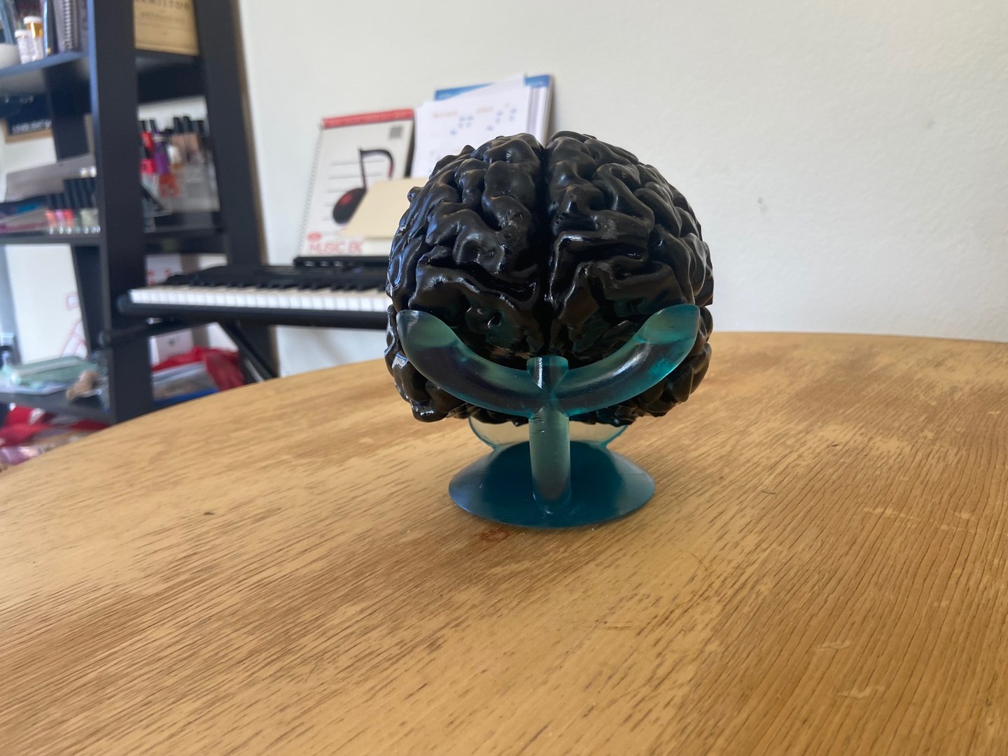 Human Brain From MRI Scan High Resolution 3D - TurboSquid 1849260