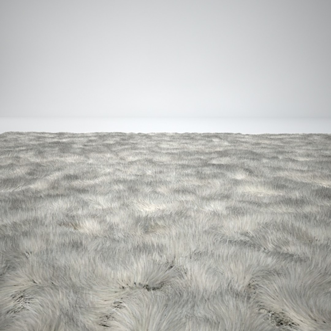 3d Model Carpet Wool Rug