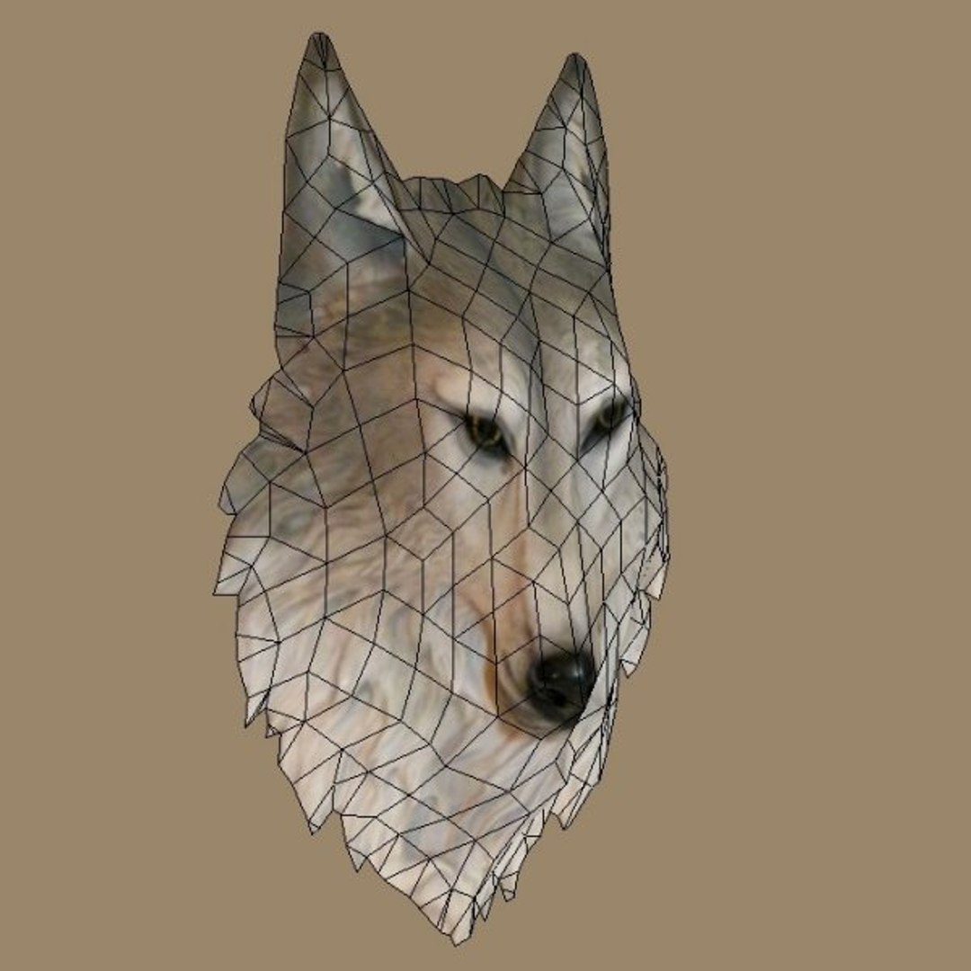 3ds Max Wolf Fg