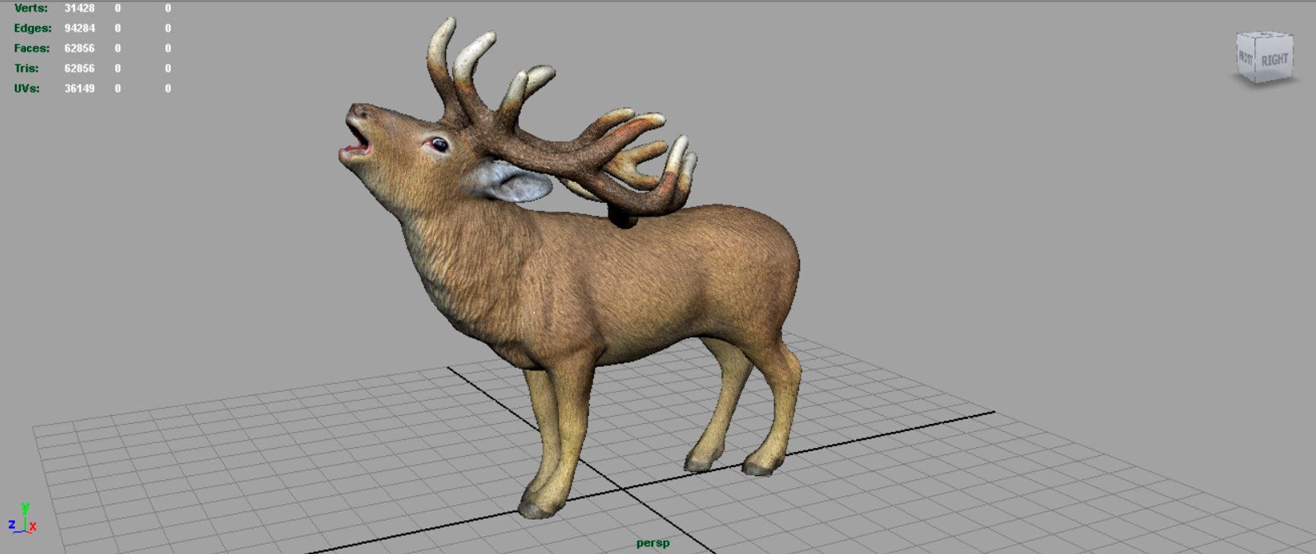3d Deer