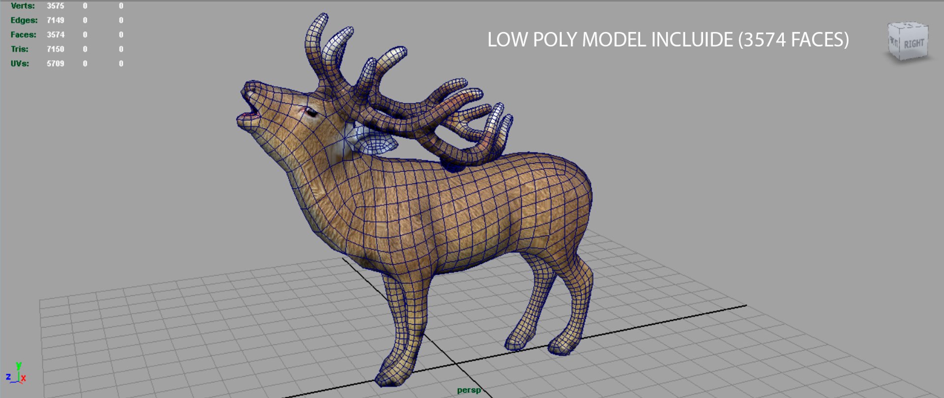 3d Deer