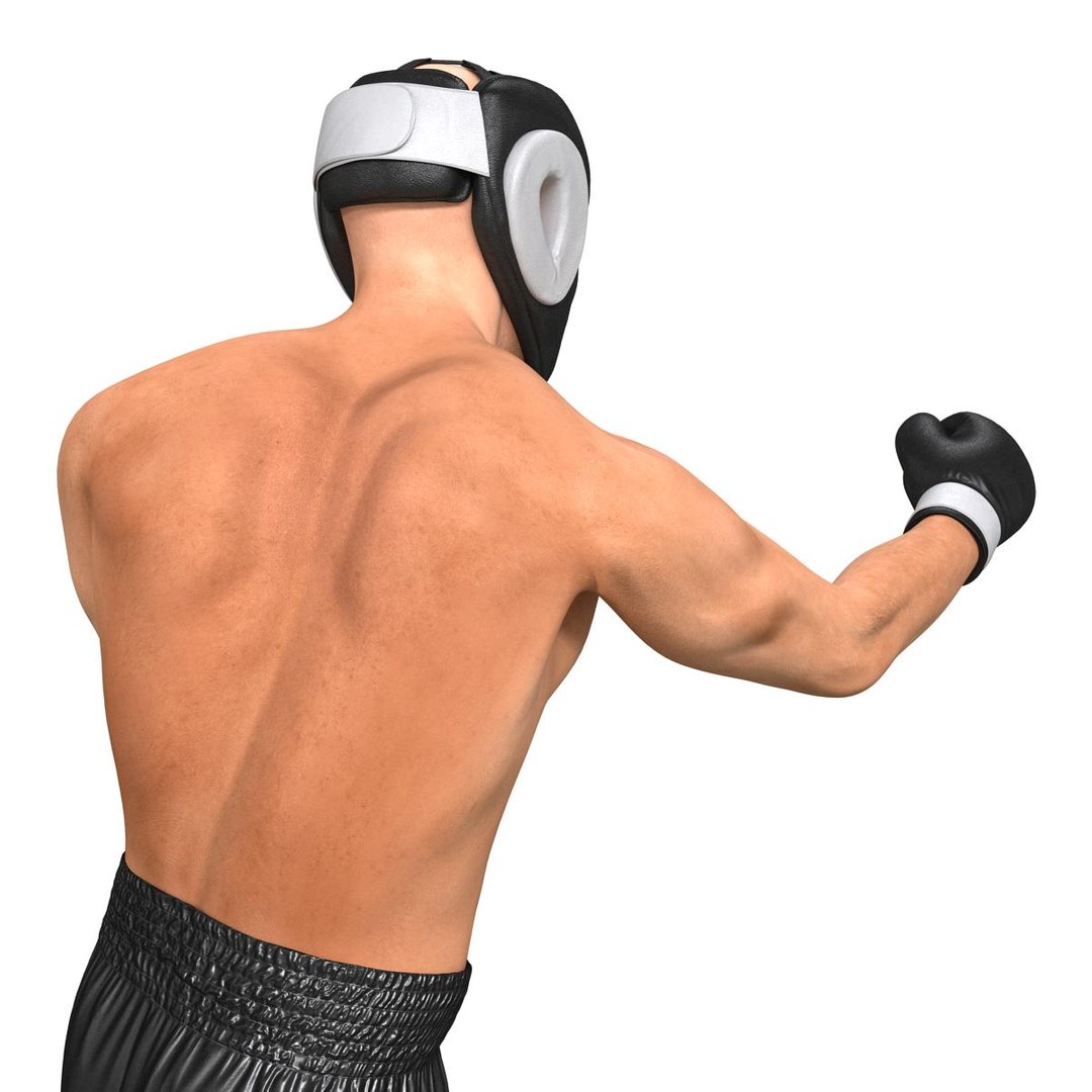 3d adult boxer man pose