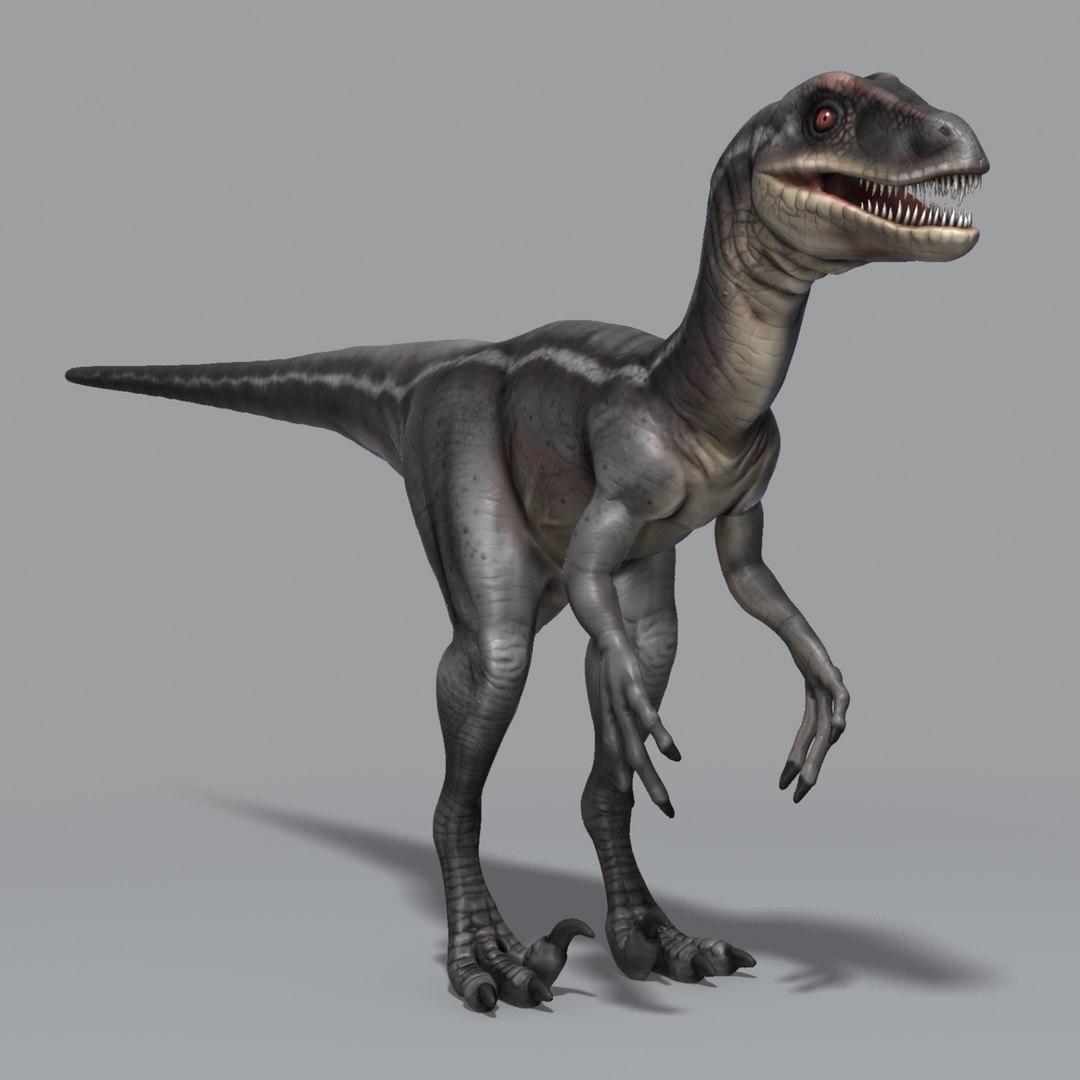 3d Model Raptor Carnivore