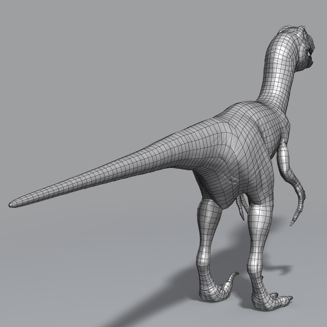 3d Model Raptor Carnivore