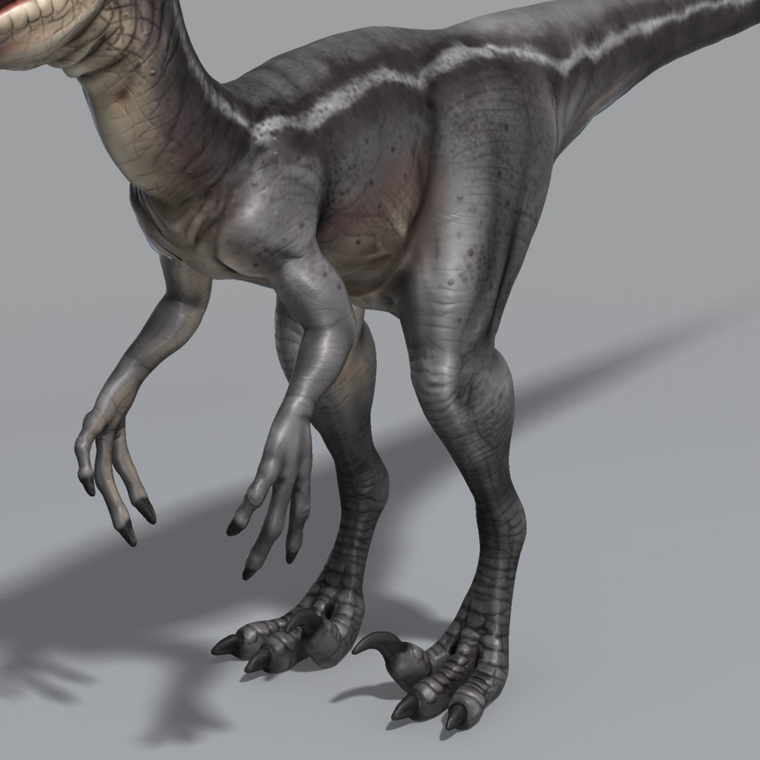 3d Model Raptor Carnivore