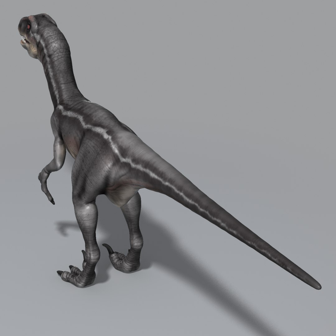3d Model Raptor Carnivore