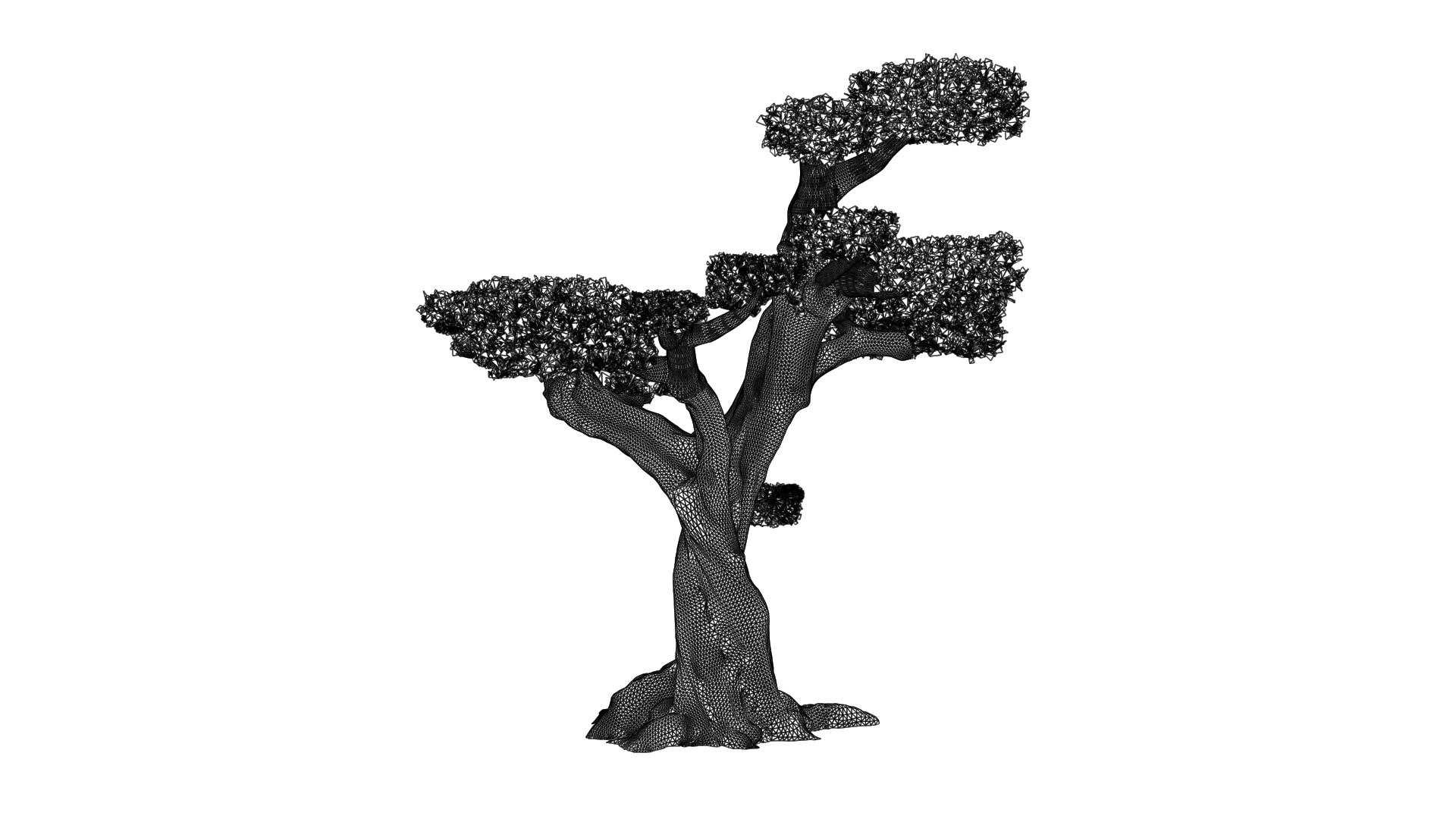3D Mediterranean Olive Tree - TurboSquid 2194154